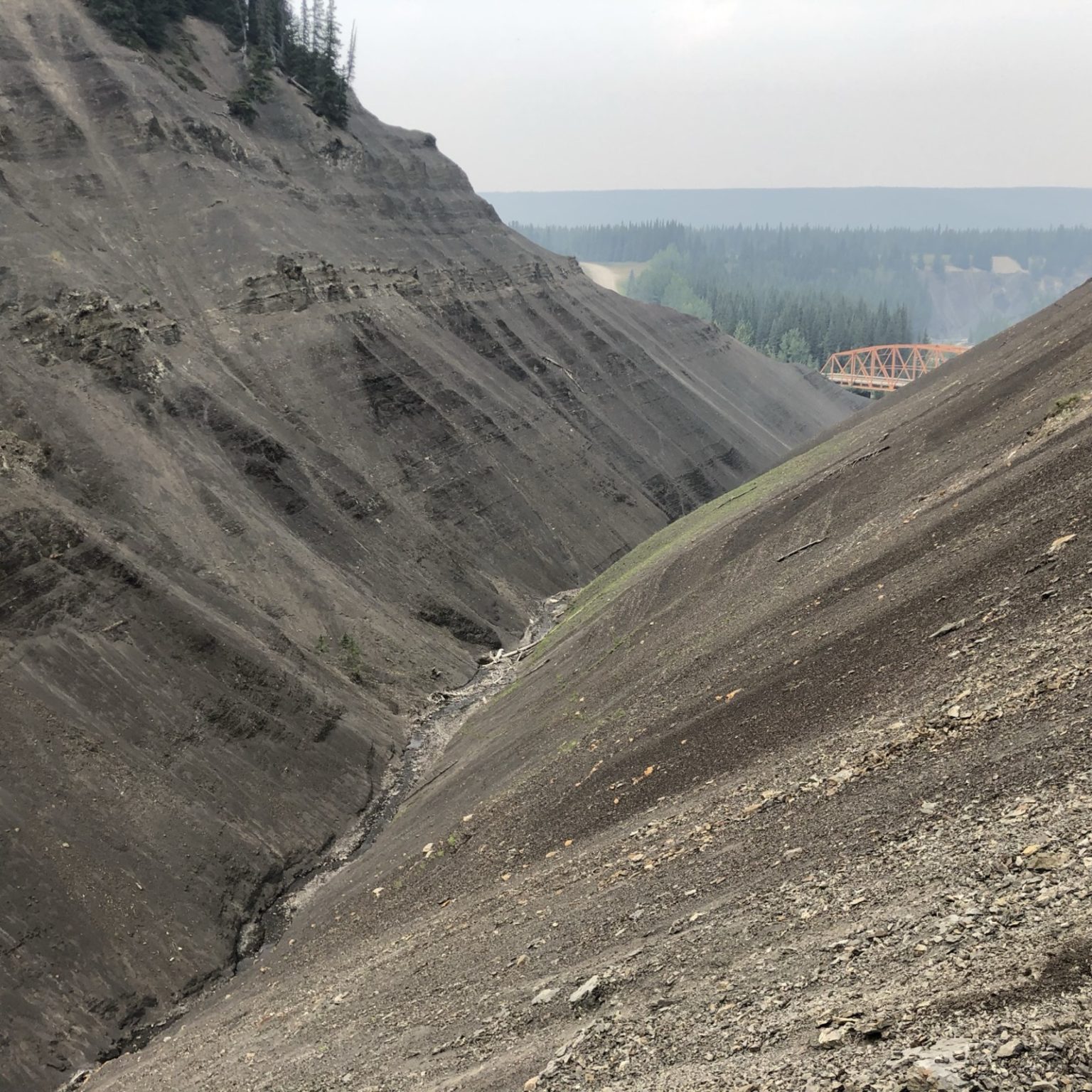 Stratigraphy, Sedimentology and Palaeontology | Alberta’s Geological Riches
