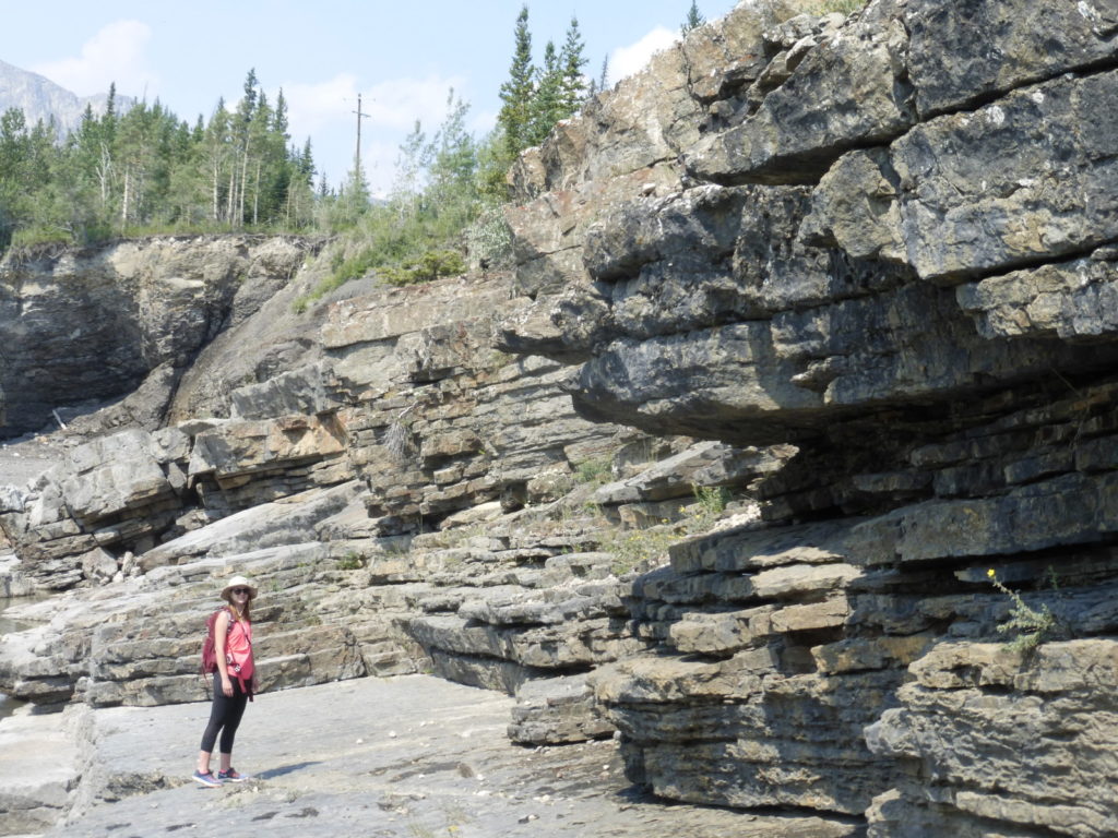 Stratigraphy, Sedimentology and Palaeontology | Seebe