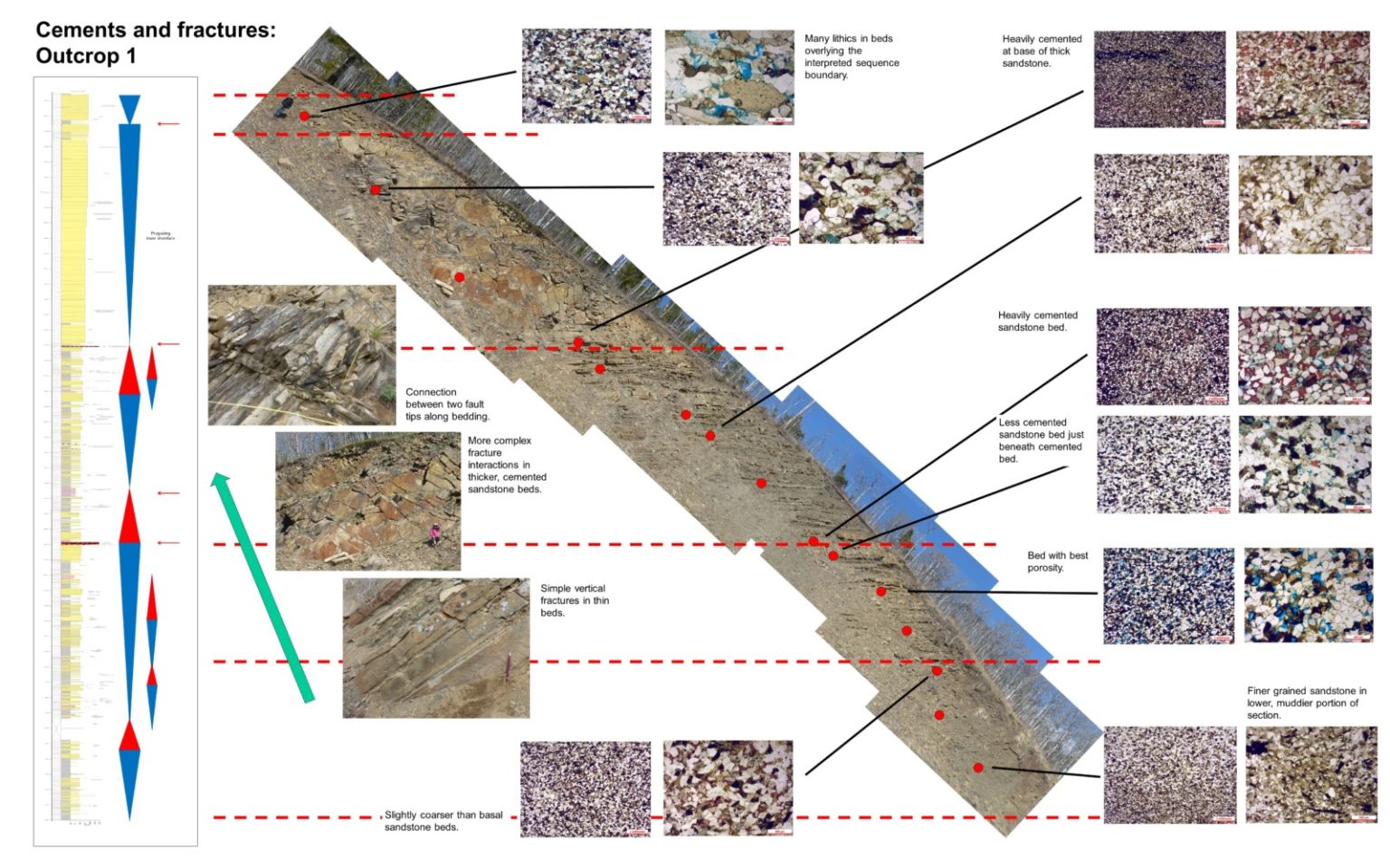 Stratigraphy, Sedimentology and Palaeontology | Alberta’s Geological Riches