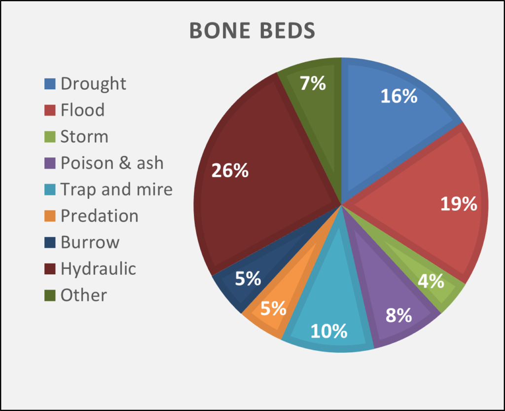 Stratigraphy, Sedimentology and Palaeontology | The Sedimentology of ...
