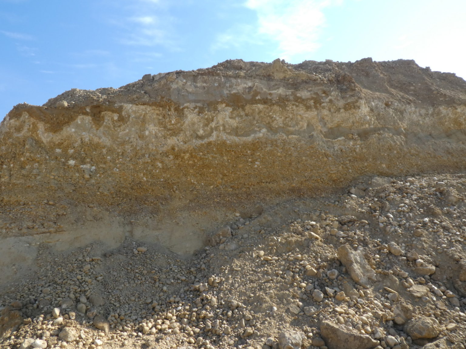 Stratigraphy, Sedimentology and Palaeontology | Tapping into commercial ...