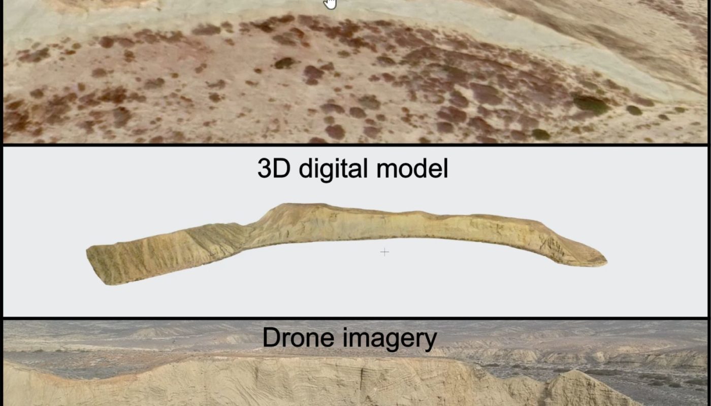 Stratigraphy, Sedimentology and Palaeontology | The digitalization of ...