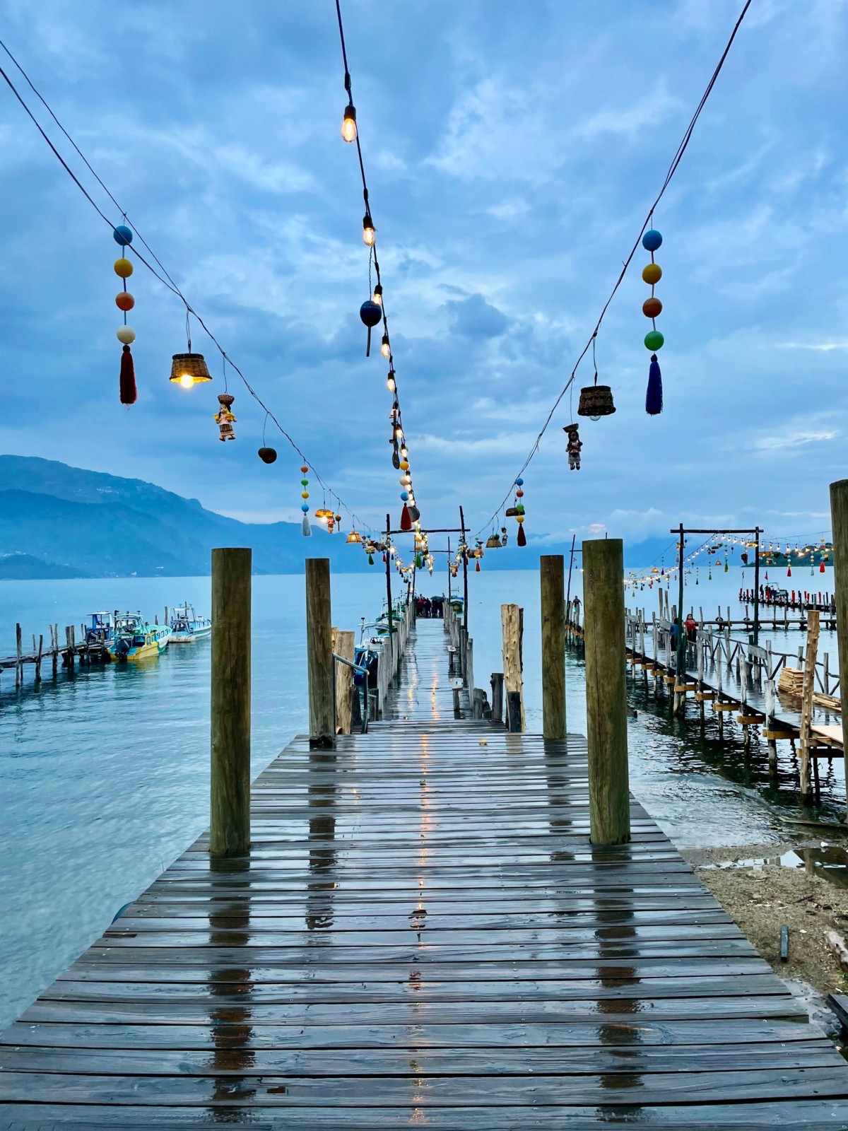 Stratigraphy, Sedimentology and Palaeontology | International ...