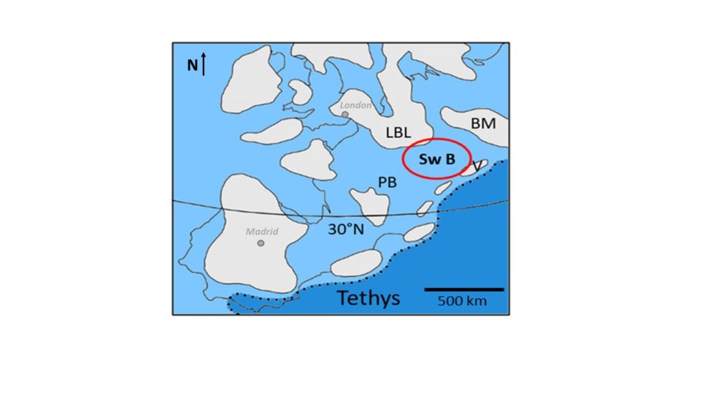 Stratigraphy, Sedimentology and Palaeontology | Tropical conditions in ...