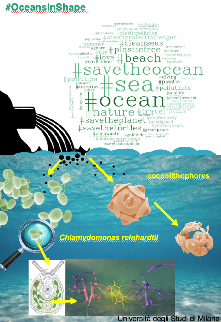 Stratigraphy, Sedimentology and Palaeontology | The effects of water ...