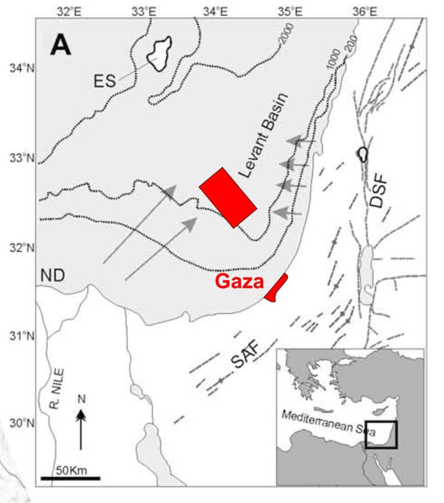 Stratigraphy, Sedimentology and Palaeontology | Offshore Gaza: gas in ...