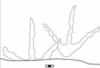 Stratigraphy, Sedimentology and Palaeontology | Broadening our ...