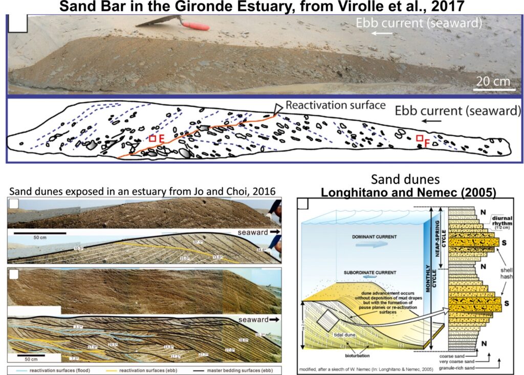 Stratigraphy, Sedimentology and Palaeontology | Unlocking the Secrets ...