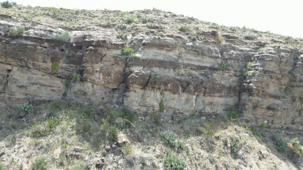 Stratigraphy, Sedimentology and Palaeontology | Unlocking the Secrets ...