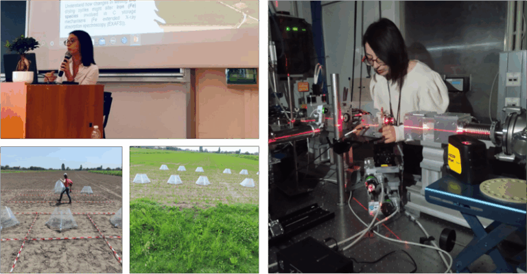 Soil System Sciences | 🌱 Nurturing the Next Generation of Soil ...
