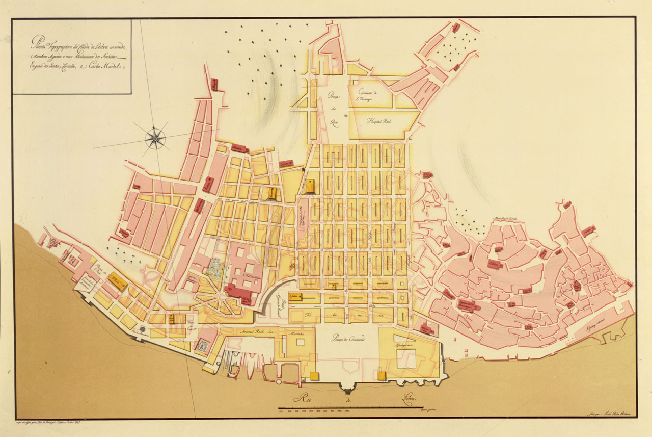 Tectonics and Structural Geology | Lisbon at the dawn of modern geosciences