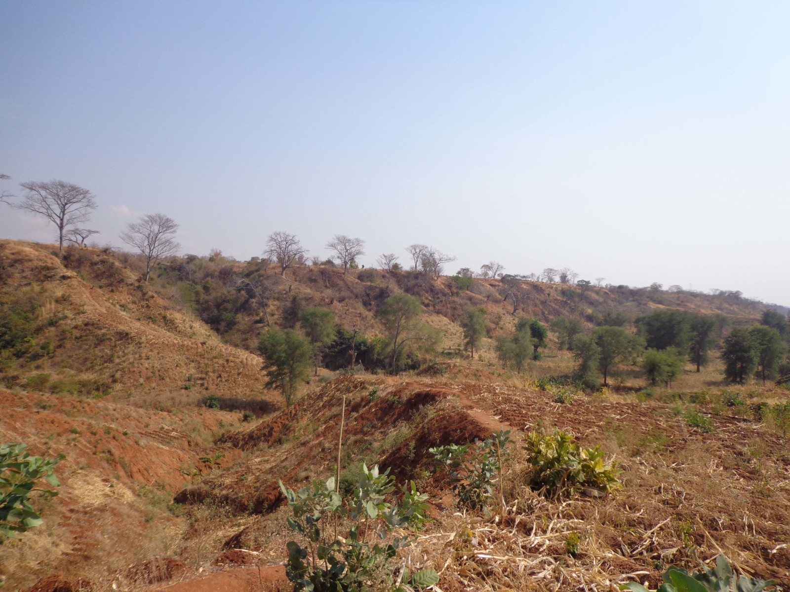 Tectonics and Structural Geology | Minds over Methods: The faults of a rift