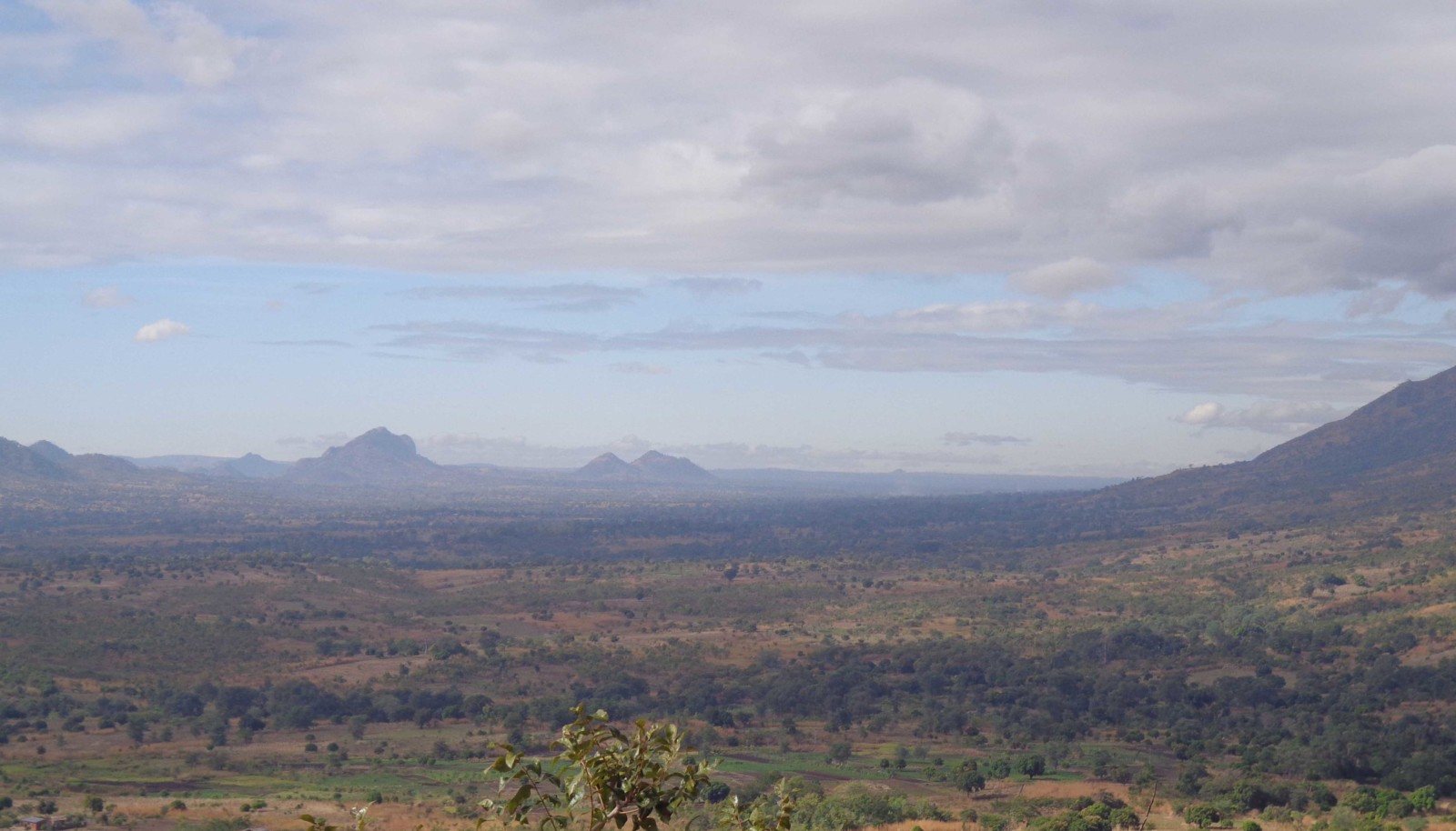 Tectonics and Structural Geology | Minds over Methods: The faults of a rift