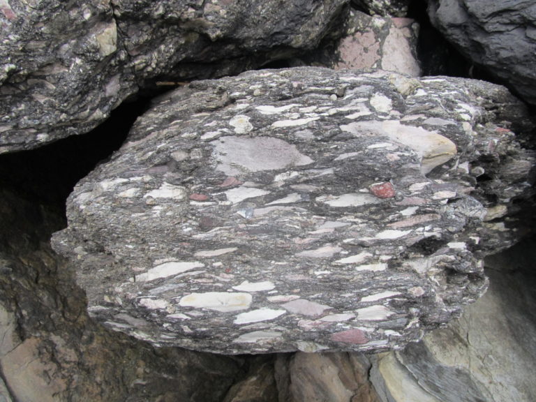 Tectonics and Structural Geology | Features from the field: Foliation