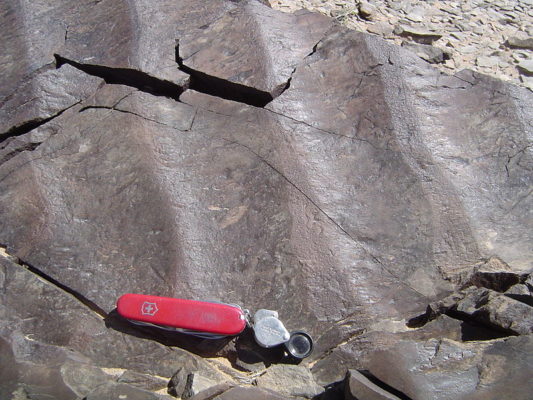 Tectonics and Structural Geology | Features from the field: Ripple Marks