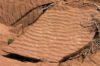 Tectonics and Structural Geology | Features from the field: Ripple Marks