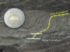 Tectonics and Structural Geology | Features from the field: crenulation ...
