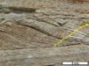 Tectonics and Structural Geology | Features from the field: crenulation ...