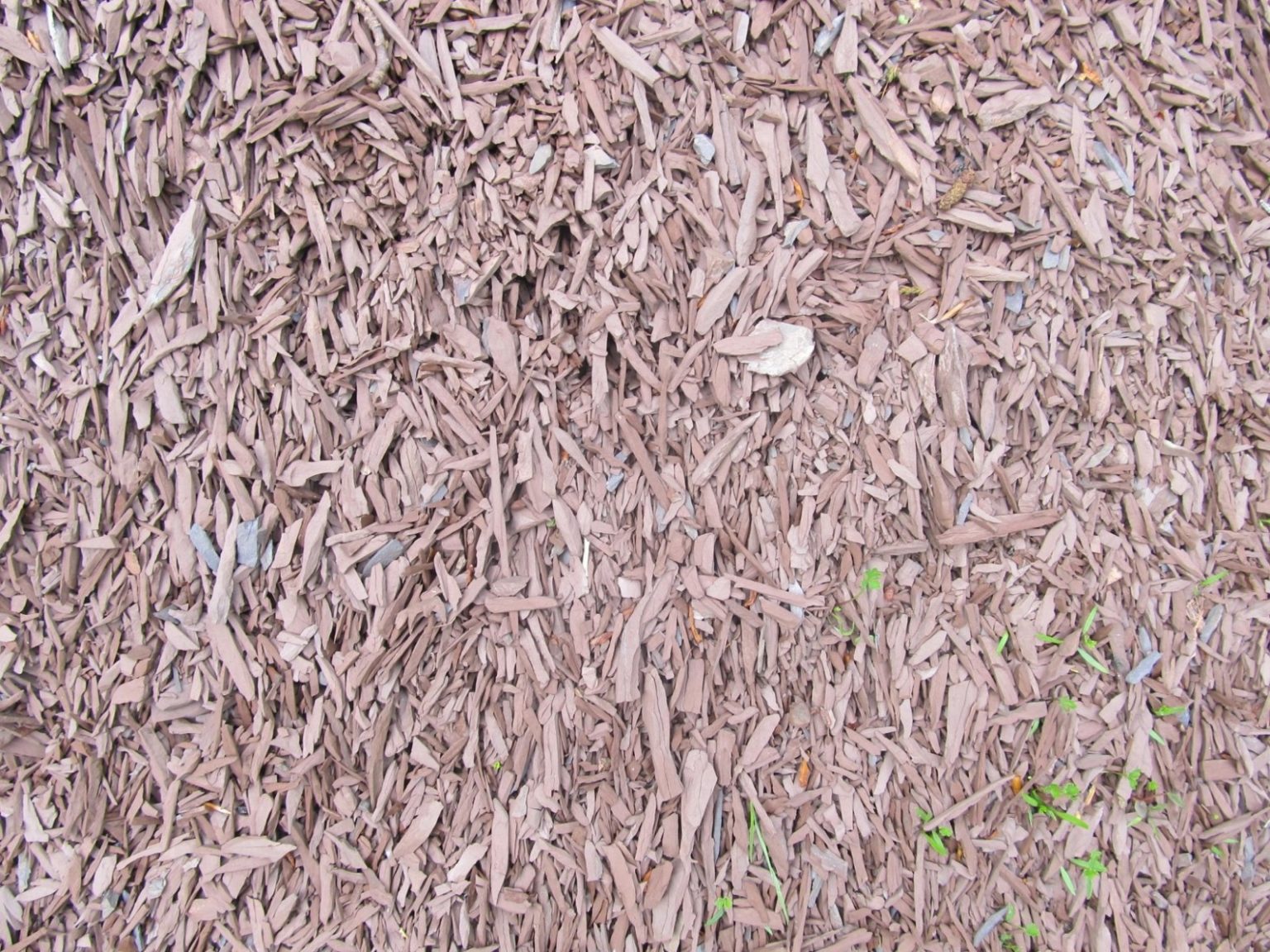 Tectonics and Structural Geology | Features From the Field: Pencil Cleavage
