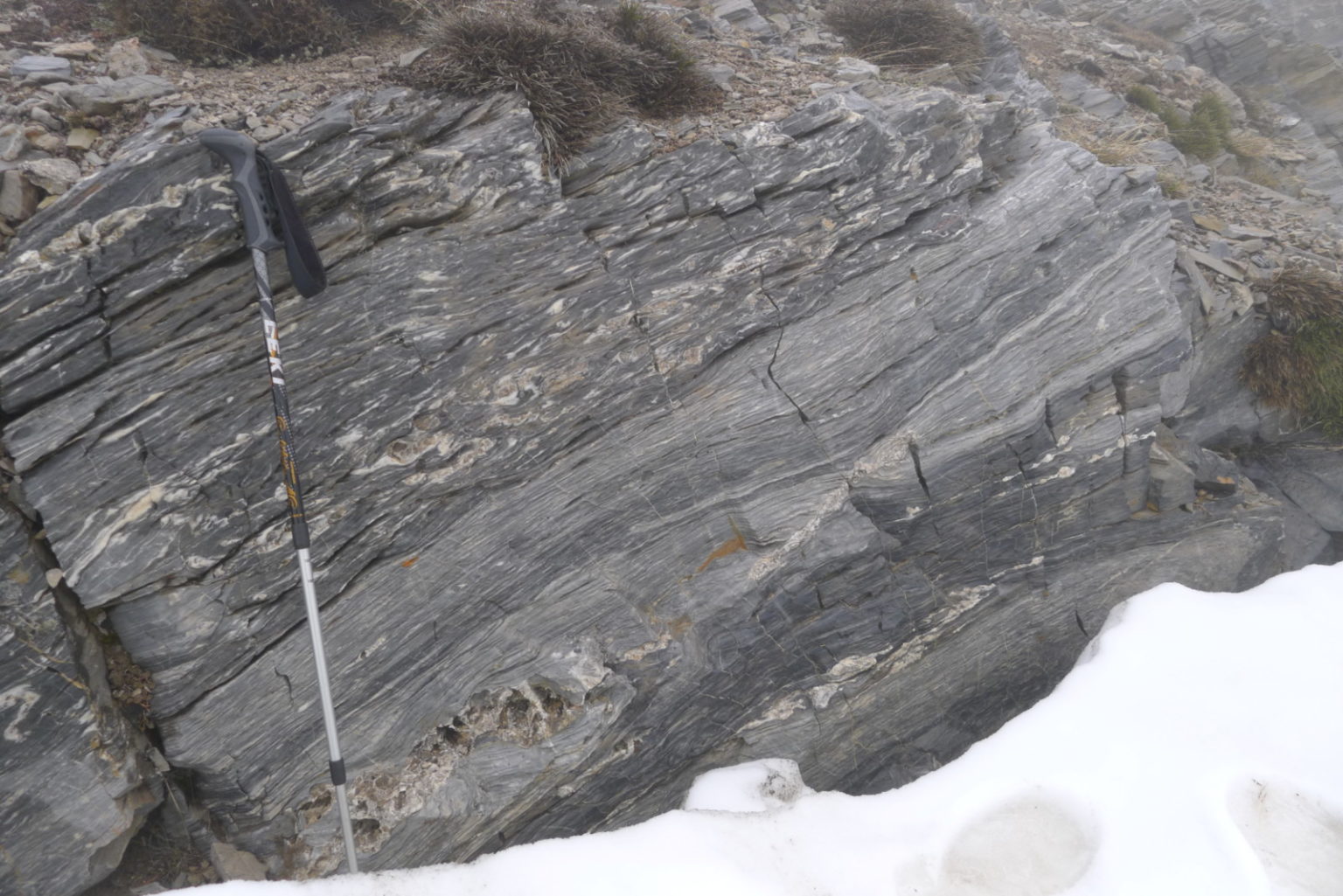 Tectonics and Structural Geology | Features from the Field: Shear Zones ...