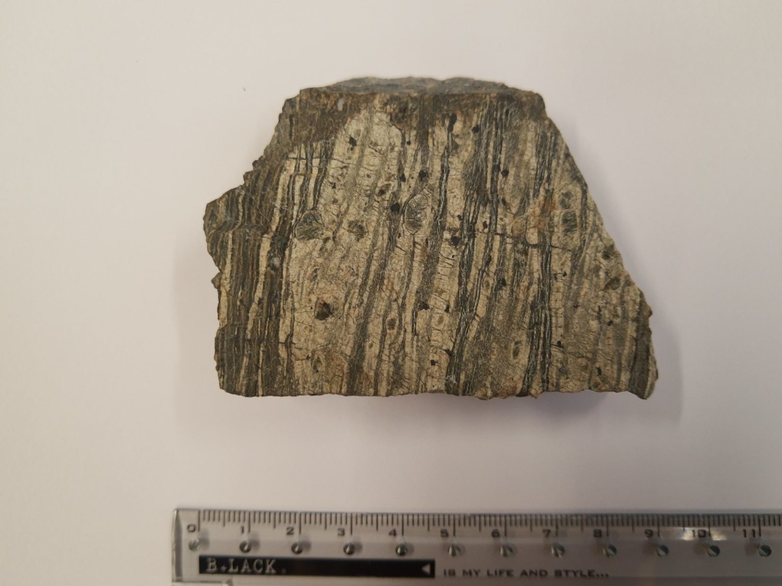 Tectonics and Structural Geology | Features from the Field: Shear Zones ...