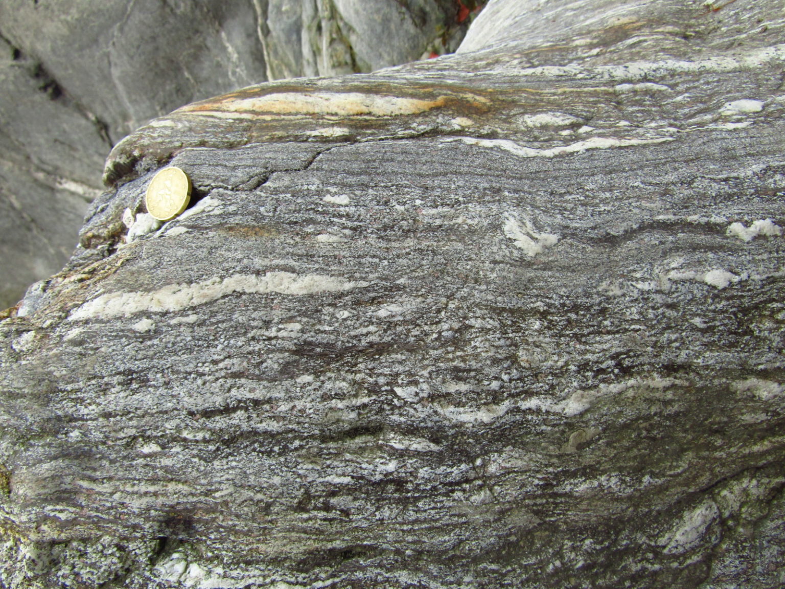 Tectonics and Structural Geology | Features from the Field: Shear Zones ...