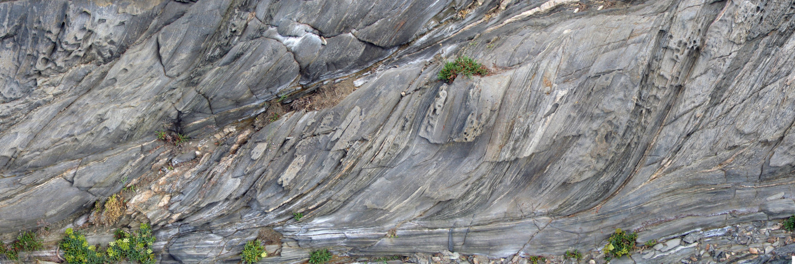 Tectonics and Structural Geology | Faults