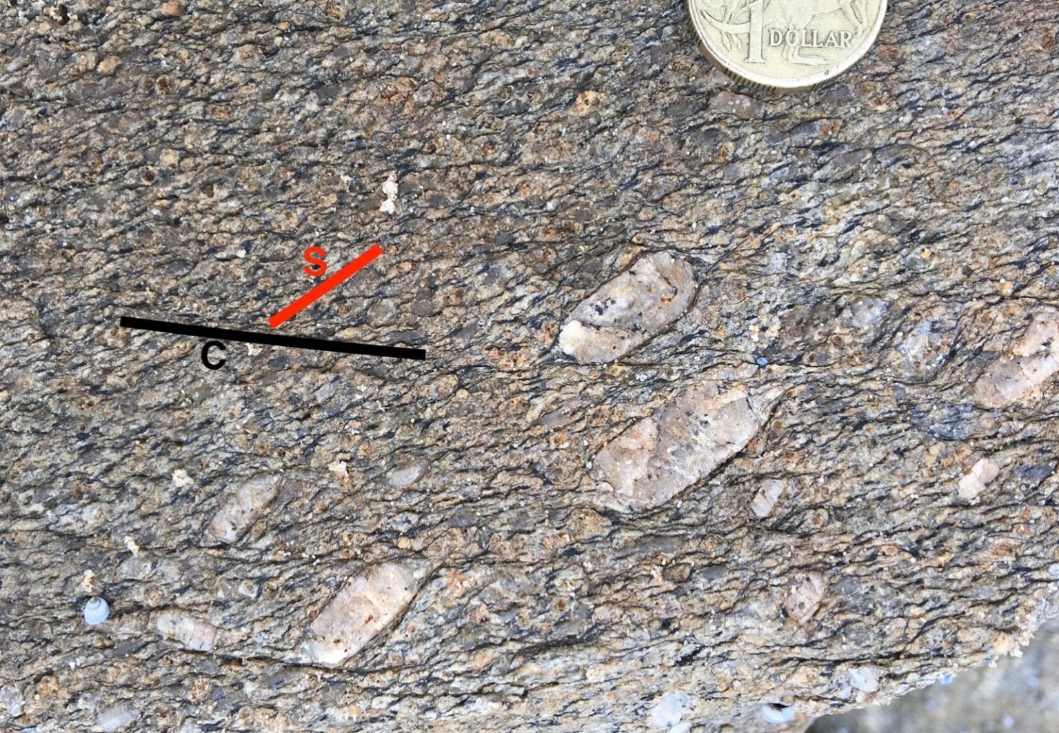 Tectonics and Structural Geology | Features from the Field: S-C fabrics