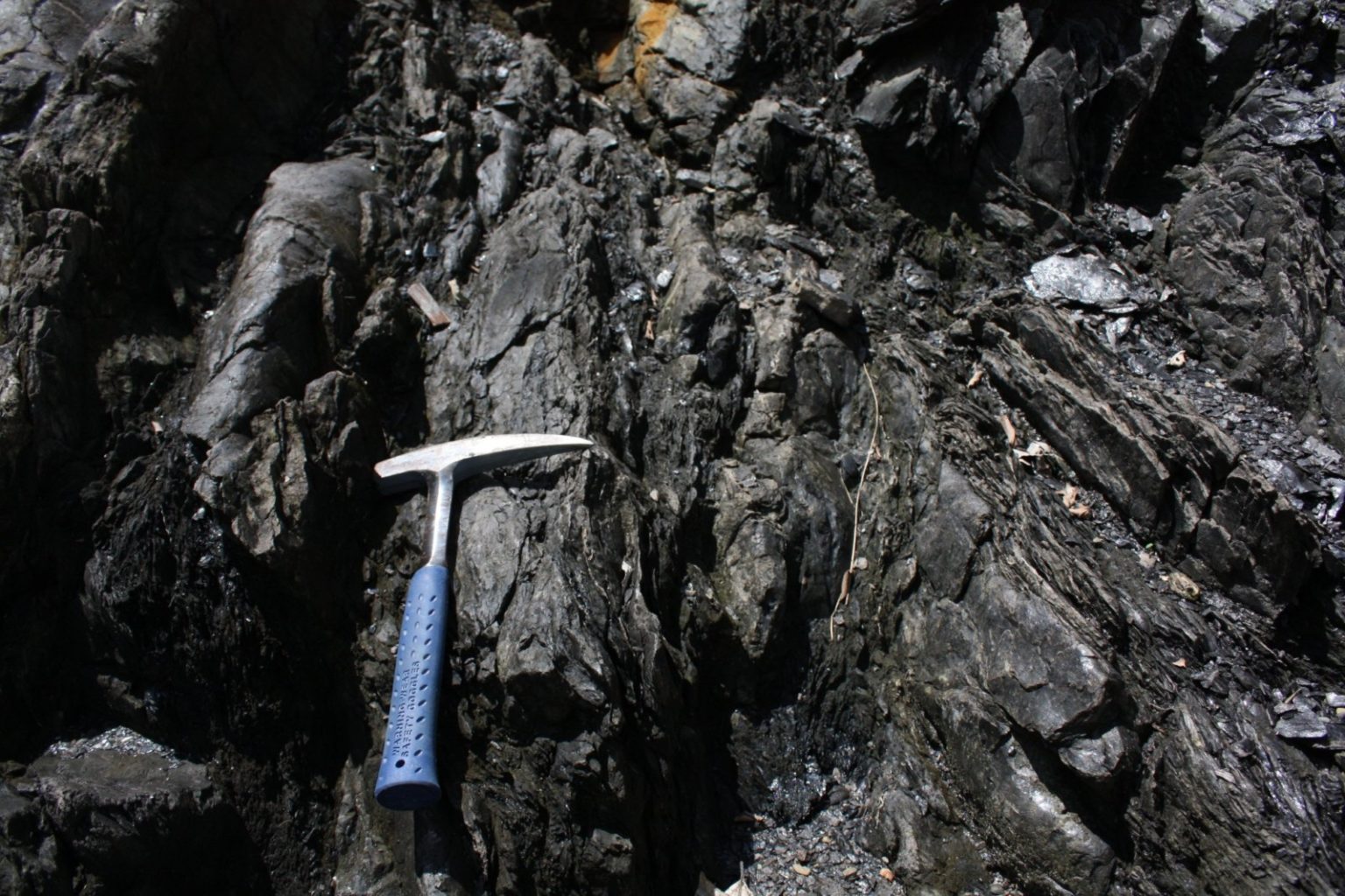 Tectonics and Structural Geology | Features from the Field: Sheath Folds
