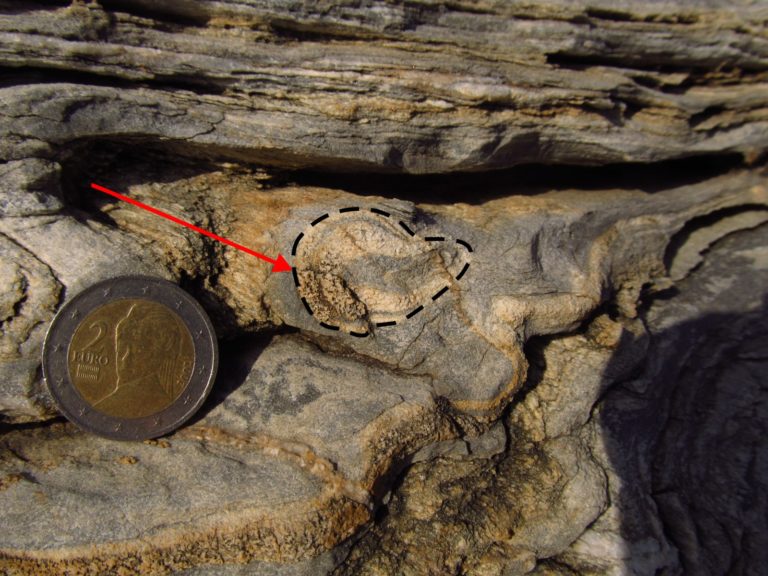 Tectonics and Structural Geology | Features from the Field: Sheath Folds