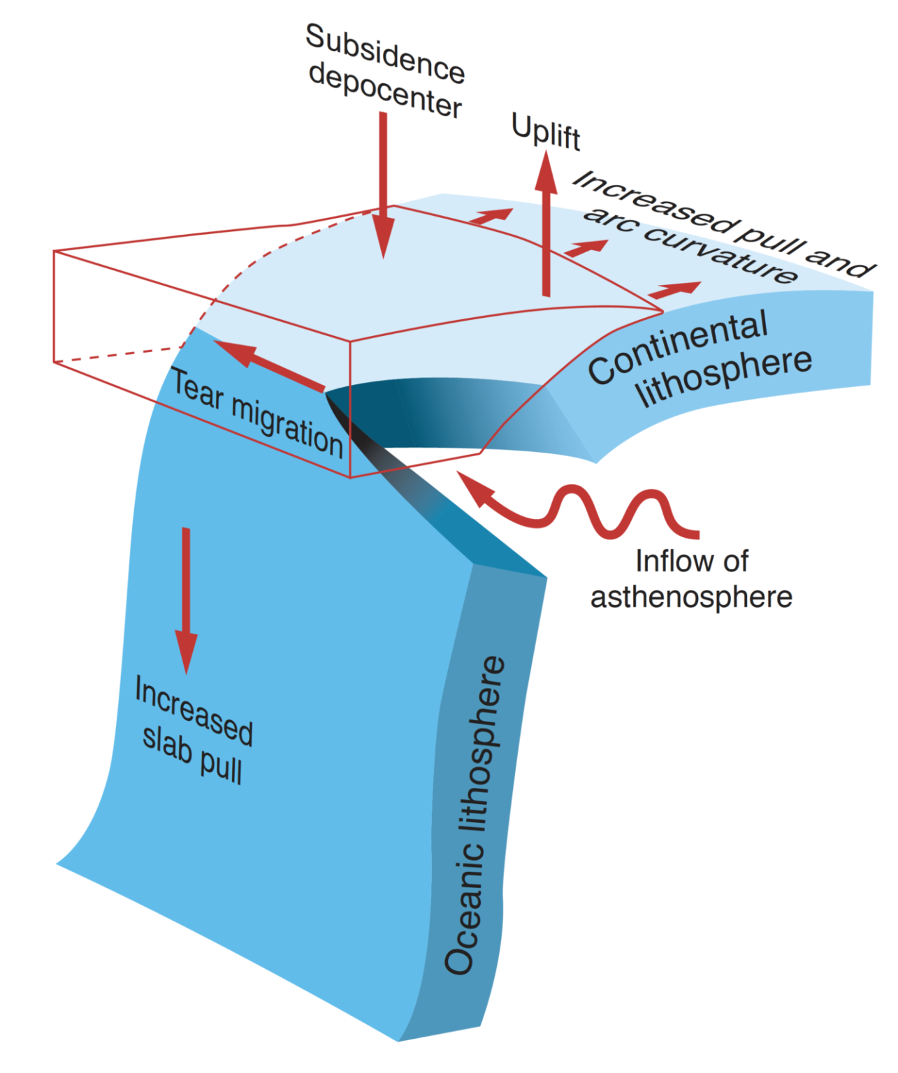 Tectonics and Structural Geology | TS Must read – Wortel and Spakman ...