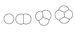 Tectonics and Structural Geology | Features from the Field: Columnar Basalts and why Hexagons ...