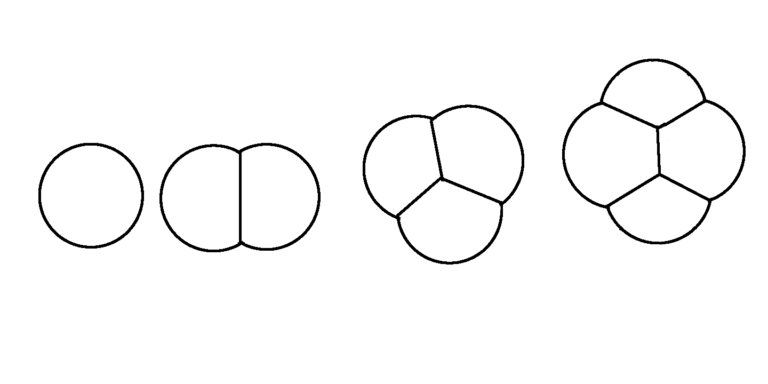Tectonics and Structural Geology | Features from the Field: Columnar ...