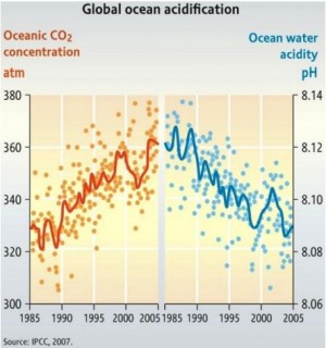 GeoLog | GIFT workshop on Ocean Acidification
