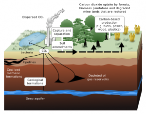 GeoLog | CCS – what’s the hold up?