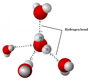 GeoLog | Imaggeo on Mondays: The name’s Bond. Hydrogen bond.