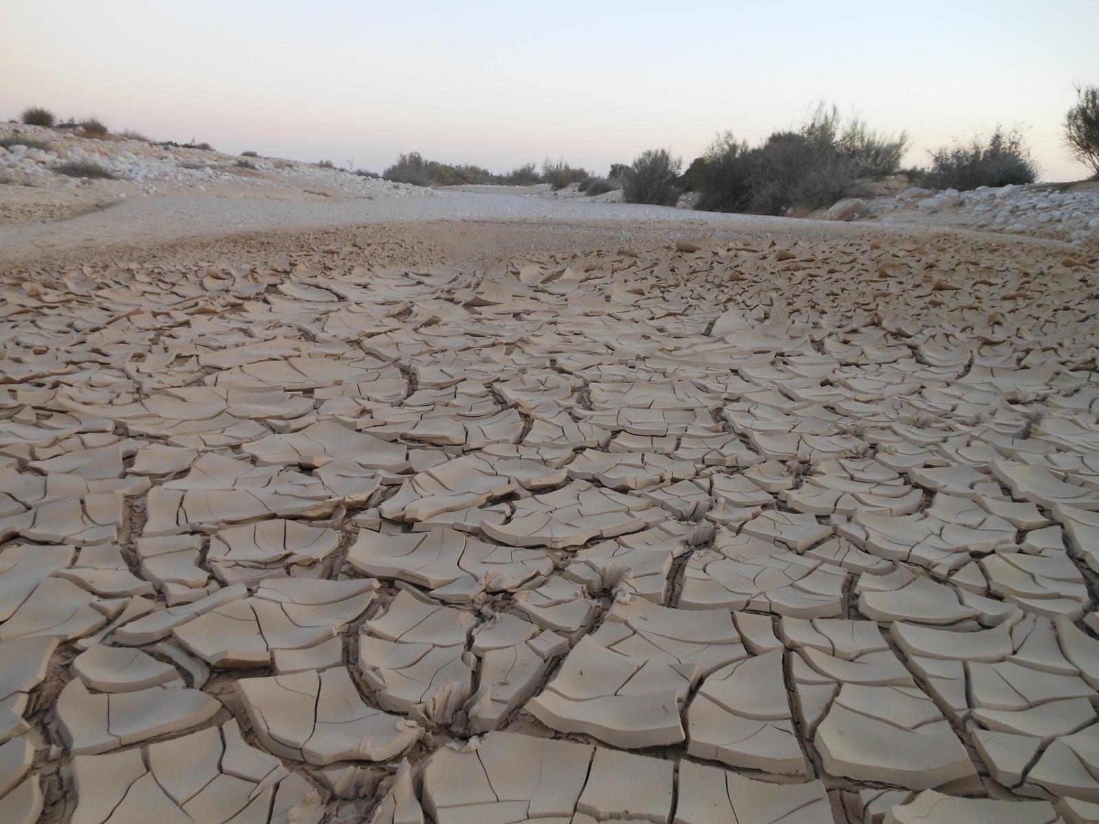 GeoLog | Floods and droughts set to increase due to climate change