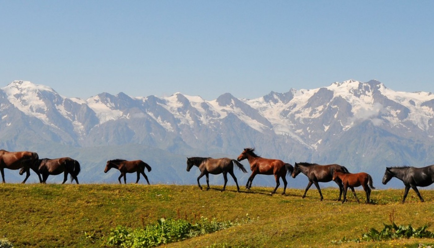 GeoLog | Svaneti Range