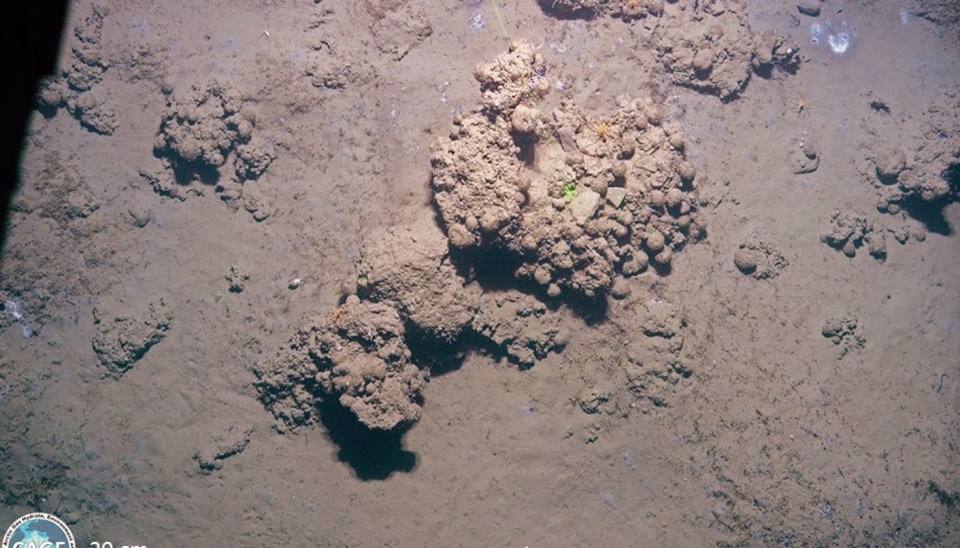 GeoLog | carbonate reefs