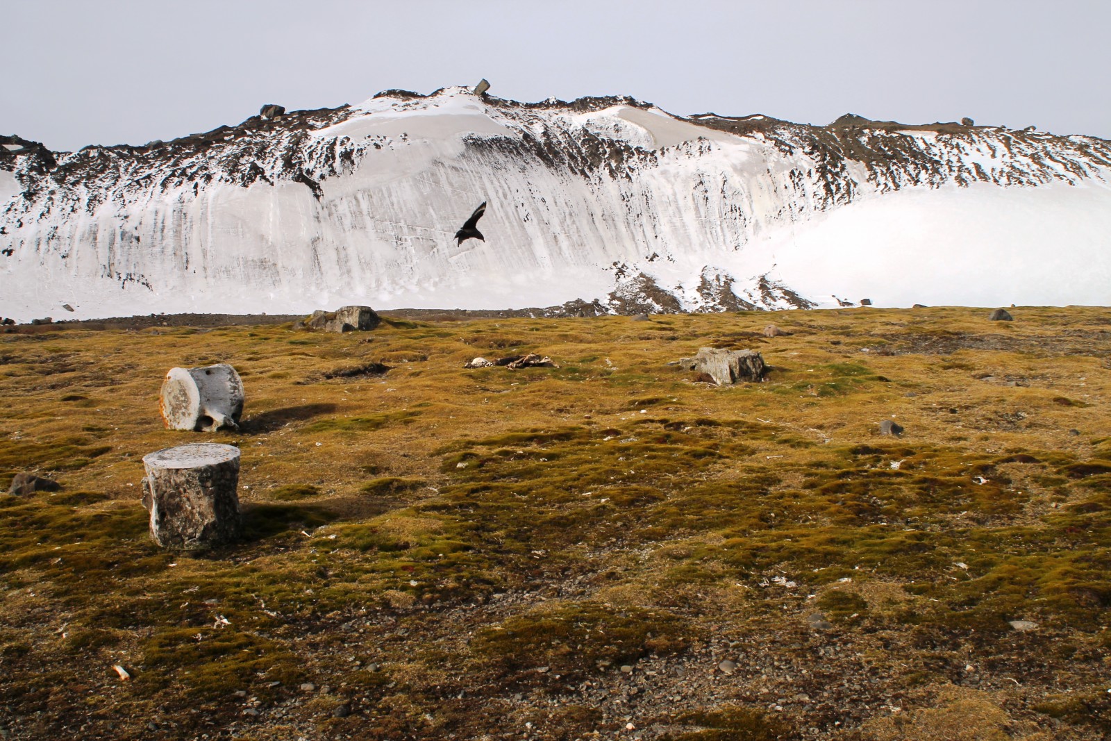 GeoLog | Geosciences Column: A new rock outcrop map and area estimation ...