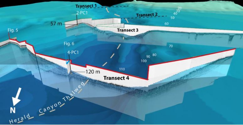 GeoLog | GeoSciences Column: When could humans last walk, on land ...