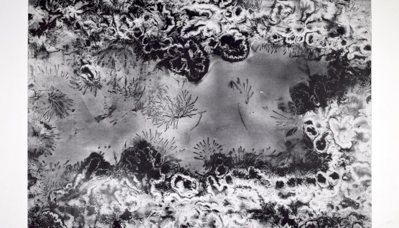 GeoLog | Imaggeo On Monday: Lichtenberg Figure Visualisation