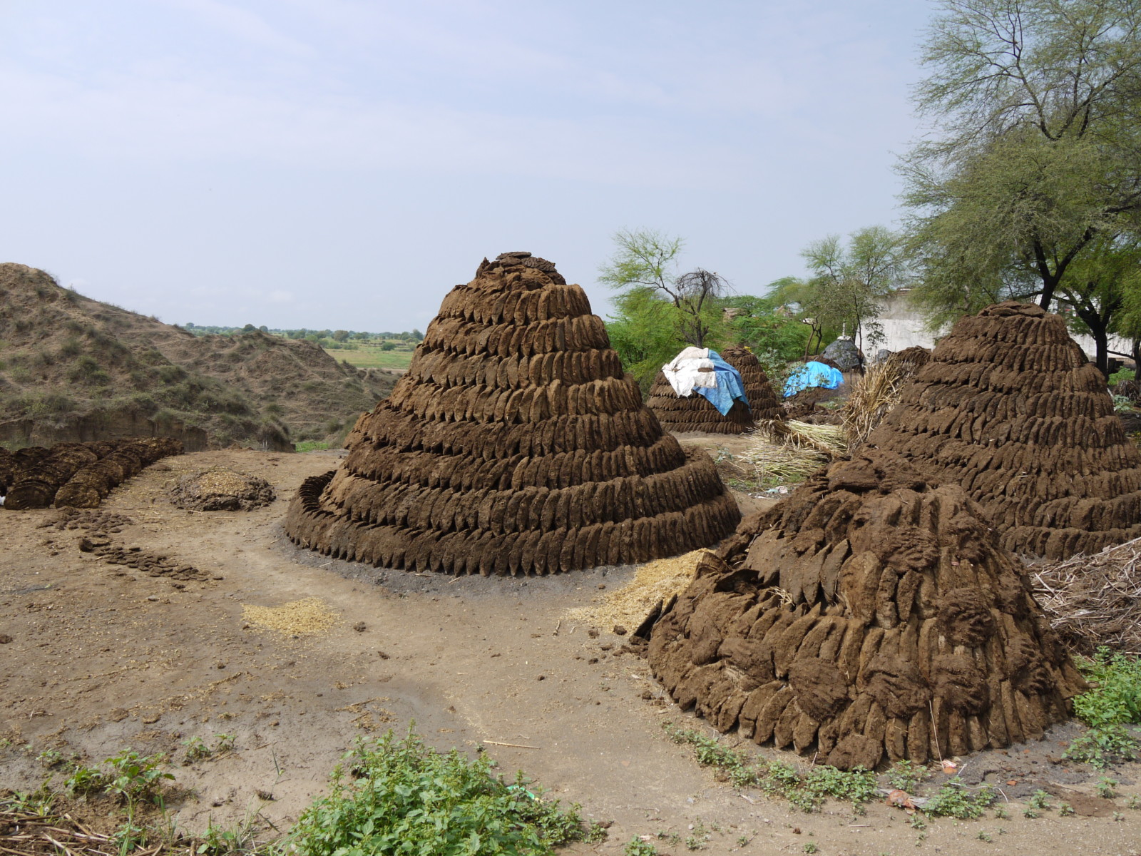 GeoLog | Imaggeo On Monday: Works of art – works of muck