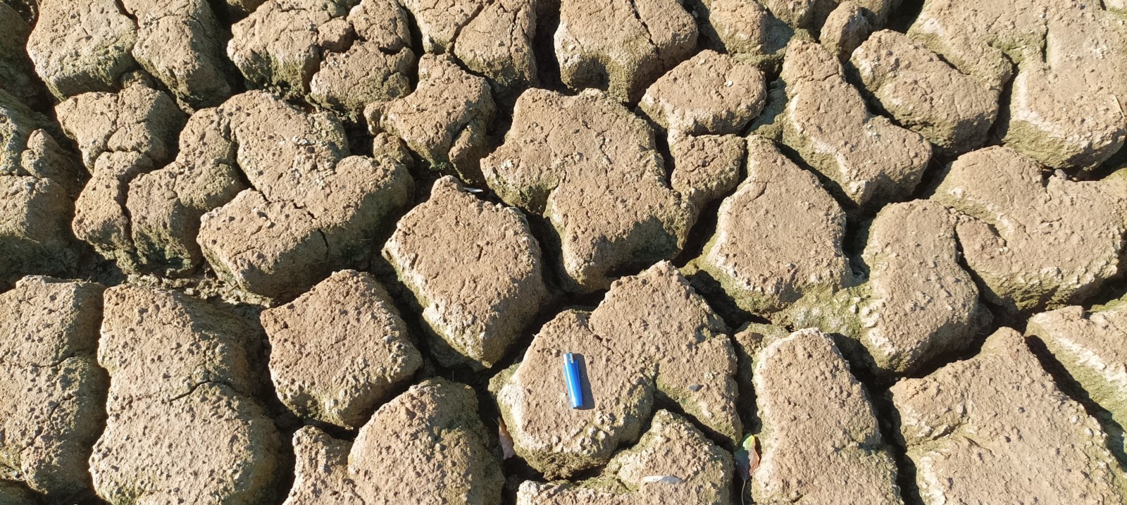 GeoLog | Imaggeo On Monday: Scale model of Doñana marshes