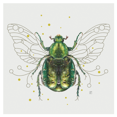 GeoLog | The many ways of using art for science education: by artist ...