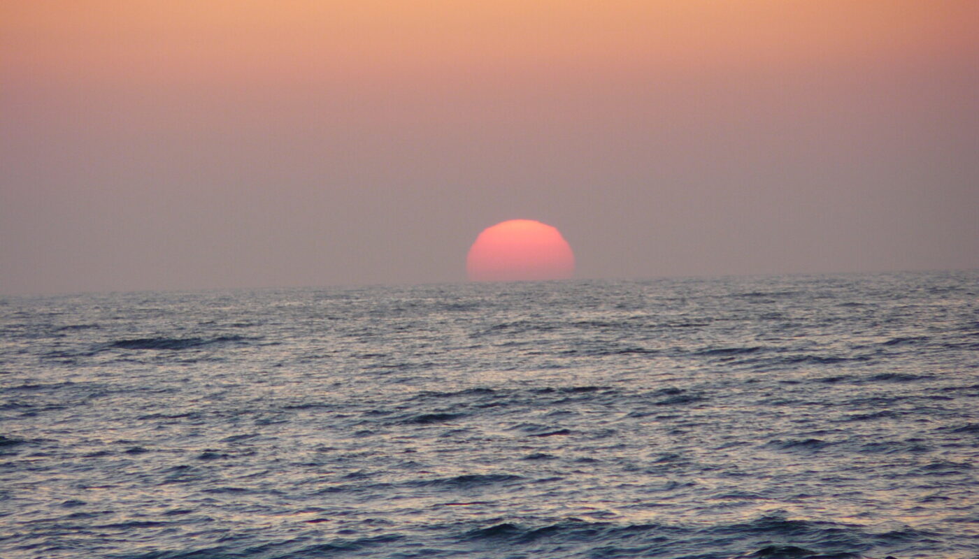 GeoLog | Ocean hypoxia: what does the increase of dead zones mean for ...