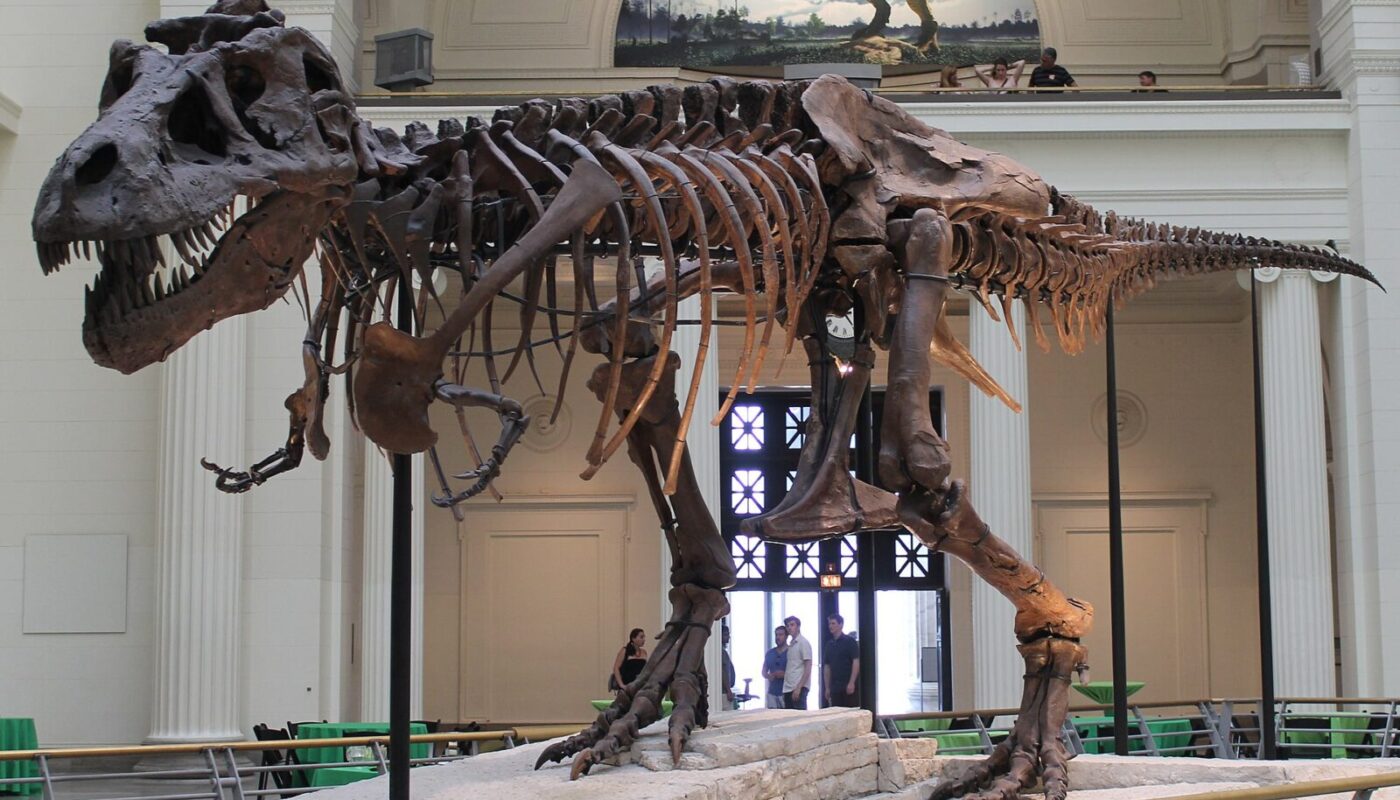 GeoLog | Sue the unconventional tyrant: 35 years of discovery, science ...