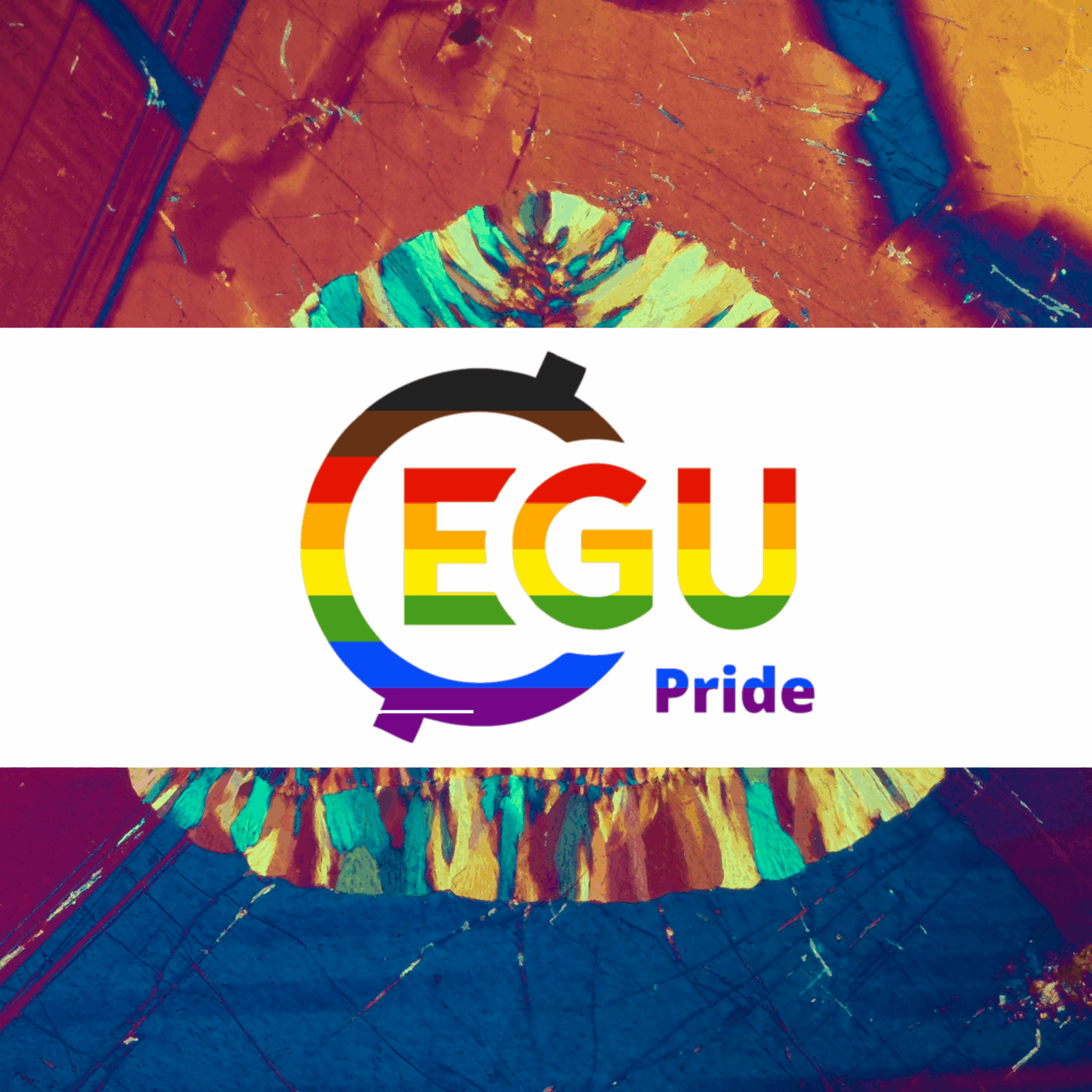 GeoLog | On LGBTQIA+ Challenges and Allyship in STEM