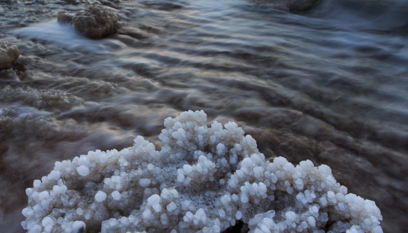 GeoSphere | Photo of the Week – Salt Coral