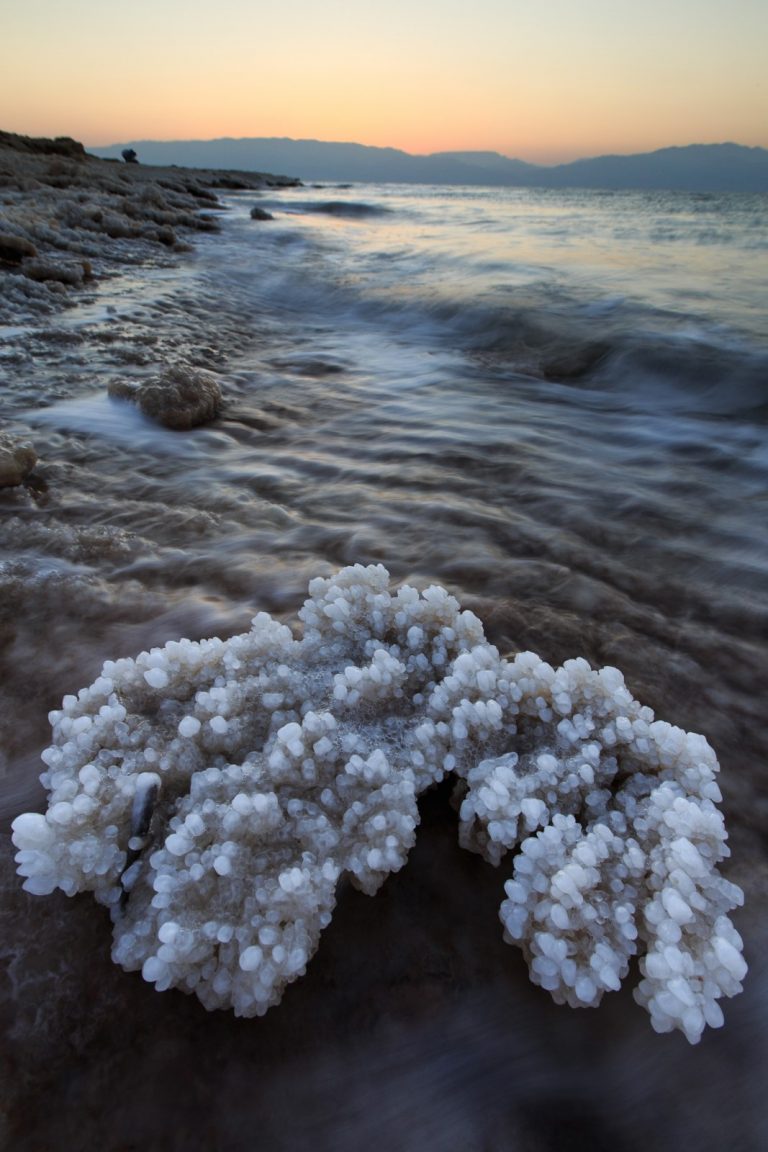 GeoSphere | Photo of the Week – Salt Coral